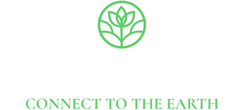 Earthing at home - Grounding Official